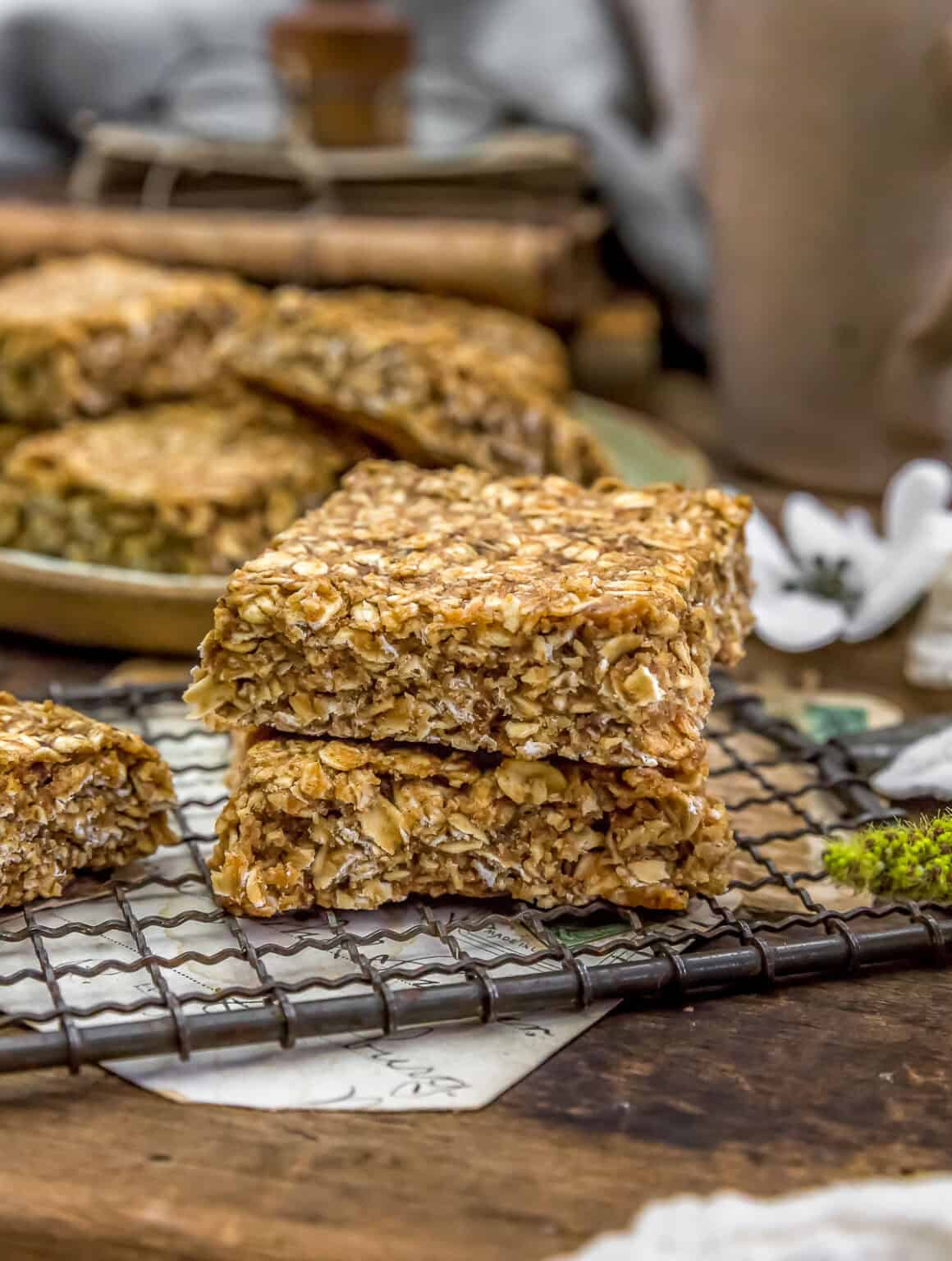 Healthy Vegan Oat Bars - Monkey and Me Kitchen Adventures
