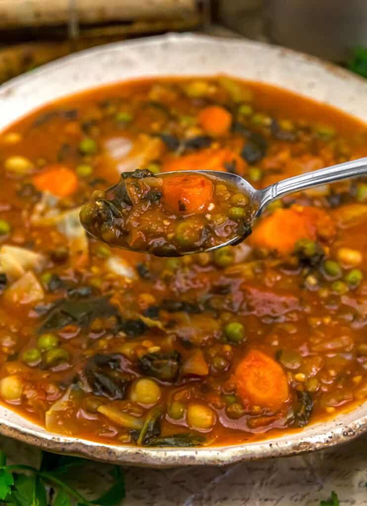 Low-Fat Veggie Diet Soup - Monkey and Me Kitchen Adventures